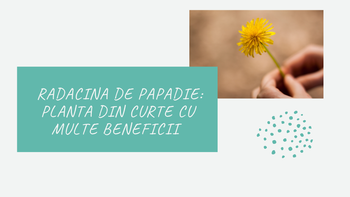 Radacina de papadie: planta din curte cu multe beneficii - Cristiana Blog
