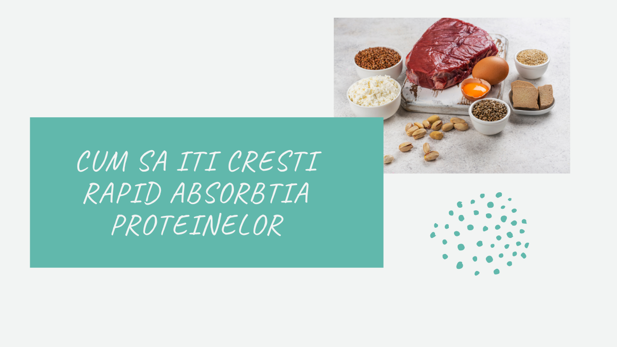 Cum sa iti cresti rapid absorbtia proteinelor - Cristiana Blog